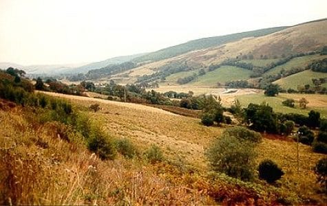 History of Welsh Corgi Cardigan - Aureate Corgis