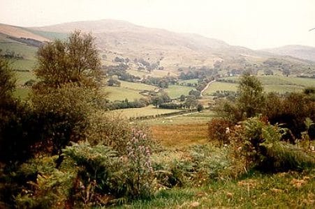 History of Welsh Corgi Cardigan - Aureate Corgis